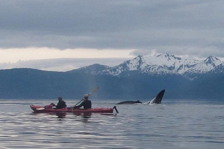 Guided Tours - Juneau Kayak Rentals